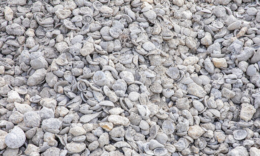 Shell Aggregate - Barclay Earth Depot