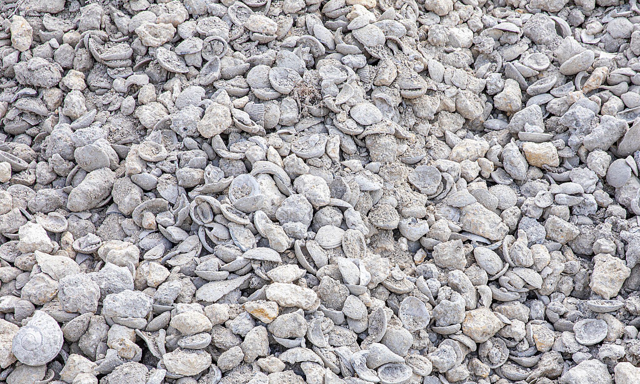 Shell Aggregate - Barclay Earth Depot